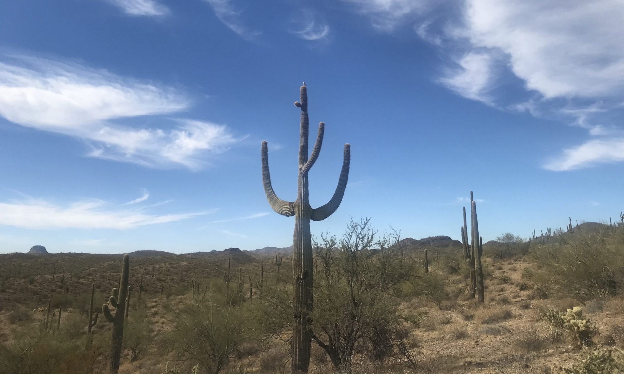 Hamilton Lock & Key – Your Phoenix Locksmith. Quality Craftsmanship ...